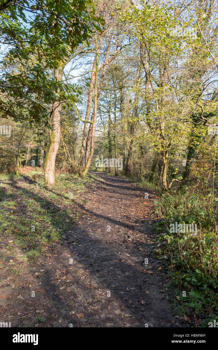 Brock Bottom path Stock Photo - Alamy