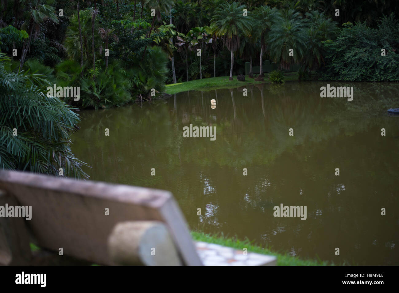 Concrete duck pond hi-res stock photography and images - Alamy