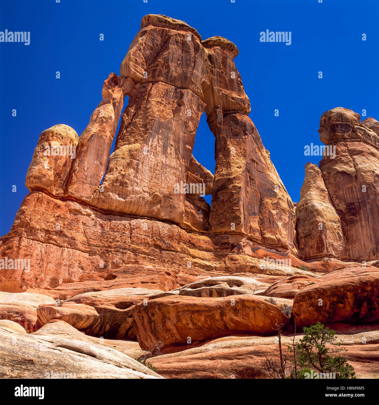 druid arch in canyonlands national park near moab, utah Stock Photo - Alamy