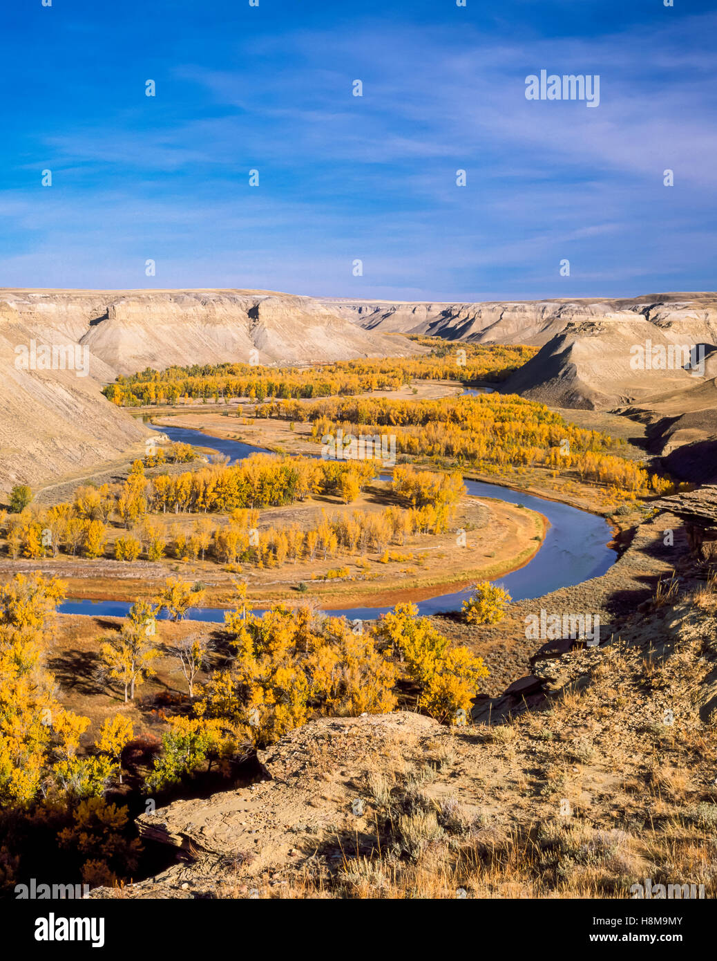 fall colors and bluffs along the marias river valley near loma, montana ...