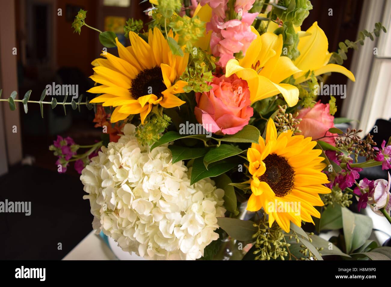 Appreciation flower hi-res stock photography and images - Alamy