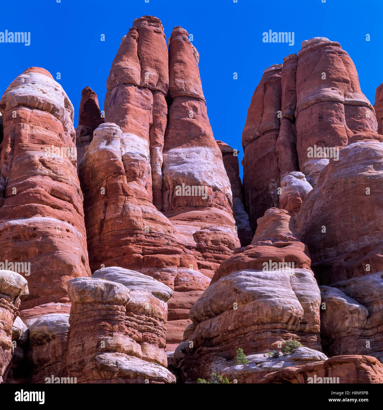 rock spires in the needles section of canyonlands national park near ...
