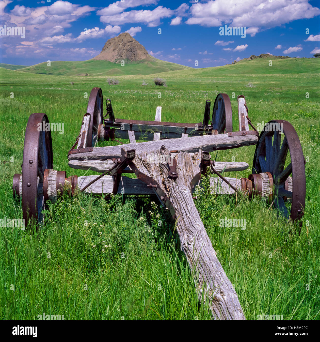 Historical wagon hi-res stock photography and images - Alamy