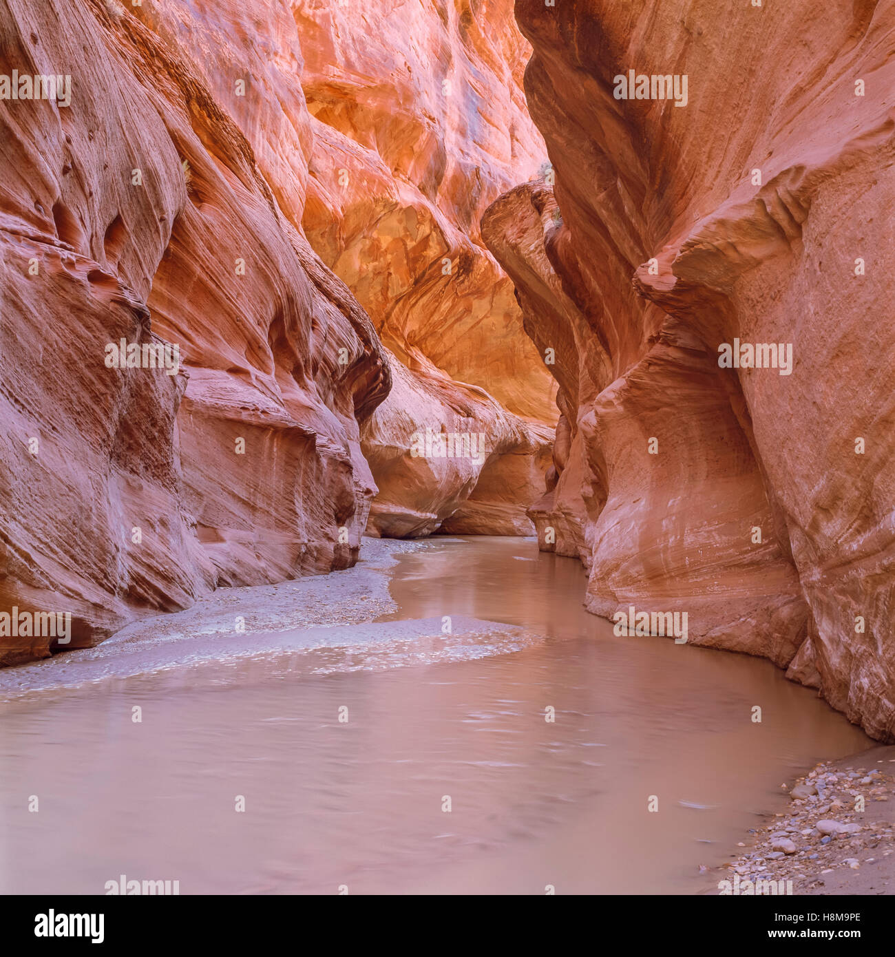 sandstone canyon of the paria river narrows near kanab, utah Stock ...