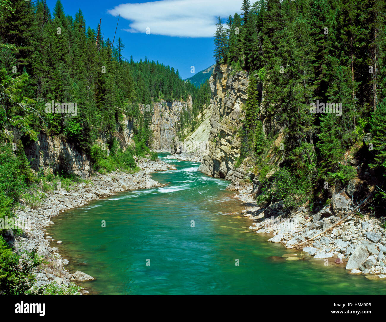 south fork flathead river in a canyon above hungry horse reservoir near ...