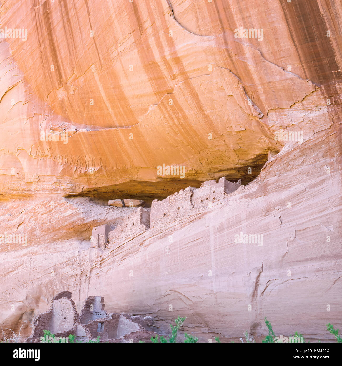 white house ruins in alcove of sandstone cliff at canyon de chelly ...
