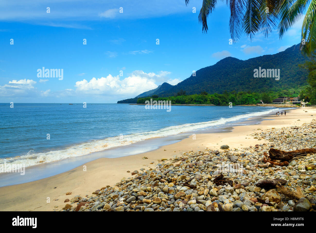 Damai Tropical Beach Near Kuching Sarawak Malaysia Stock Photo Alamy damai-tropical-beach-near-kuching-sarawak-malaysia-stock-photo-alamy