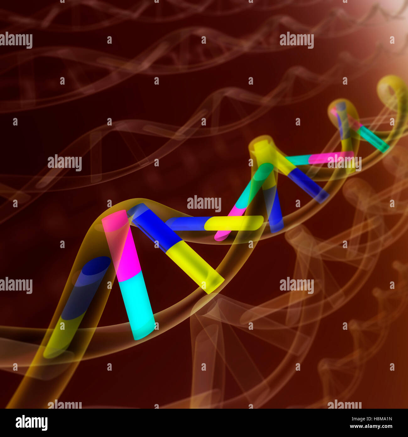 Recombinant Dna Stock Photos & Recombinant Dna Stock Images - Alamy