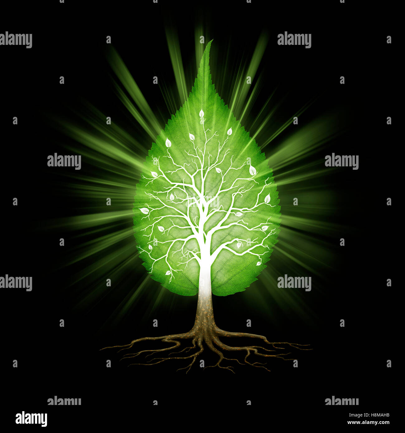 Tree With Roots Illustration High Resolution Stock Photography and ...