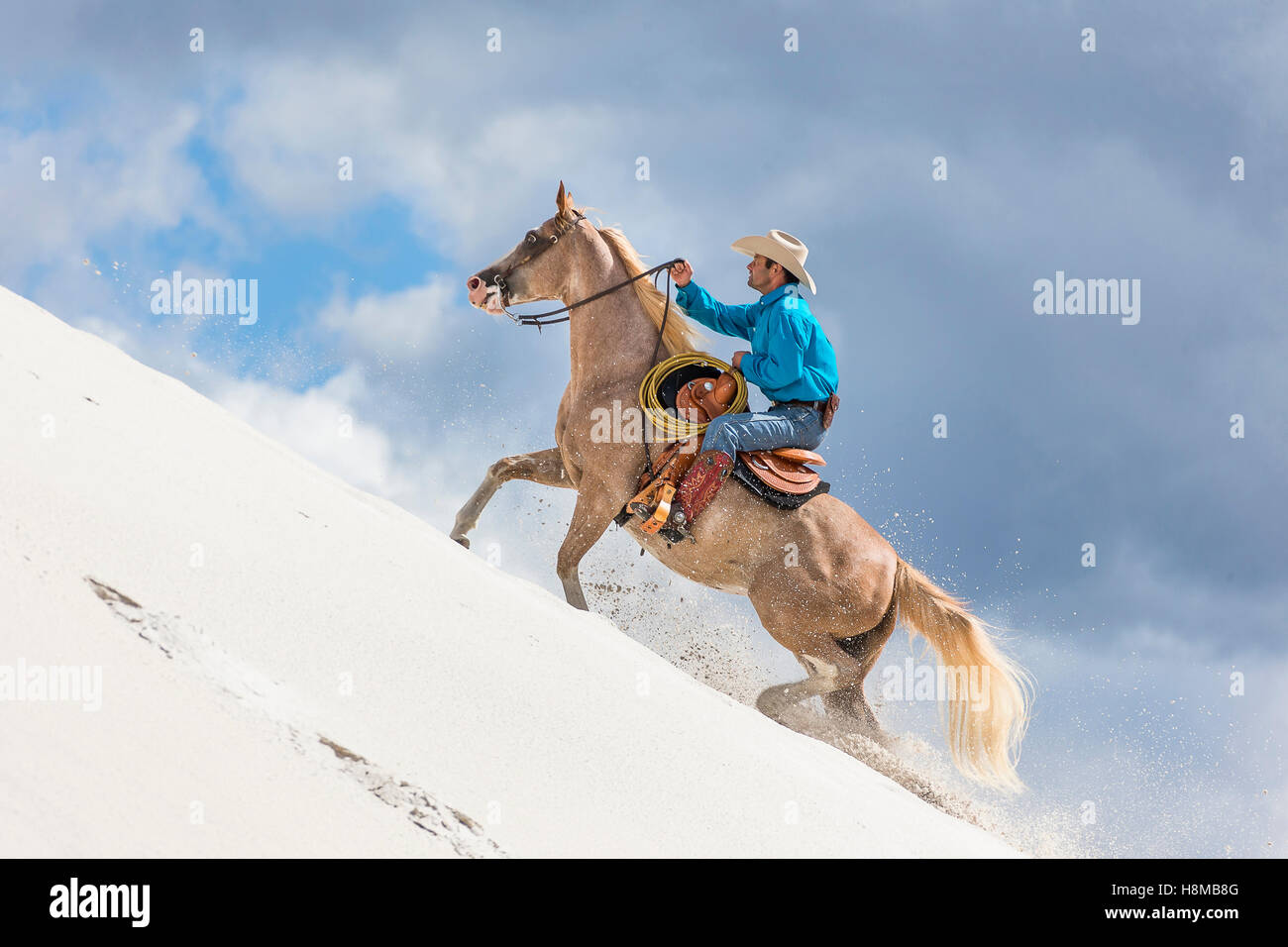 Horse climbing hill hi-res stock photography and images - Alamy