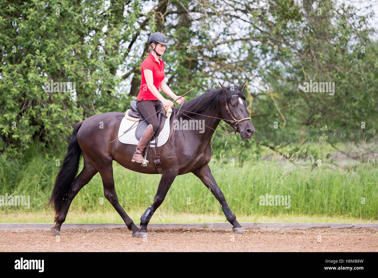 Spanish horse rider hi-res stock photography and images - Alamy