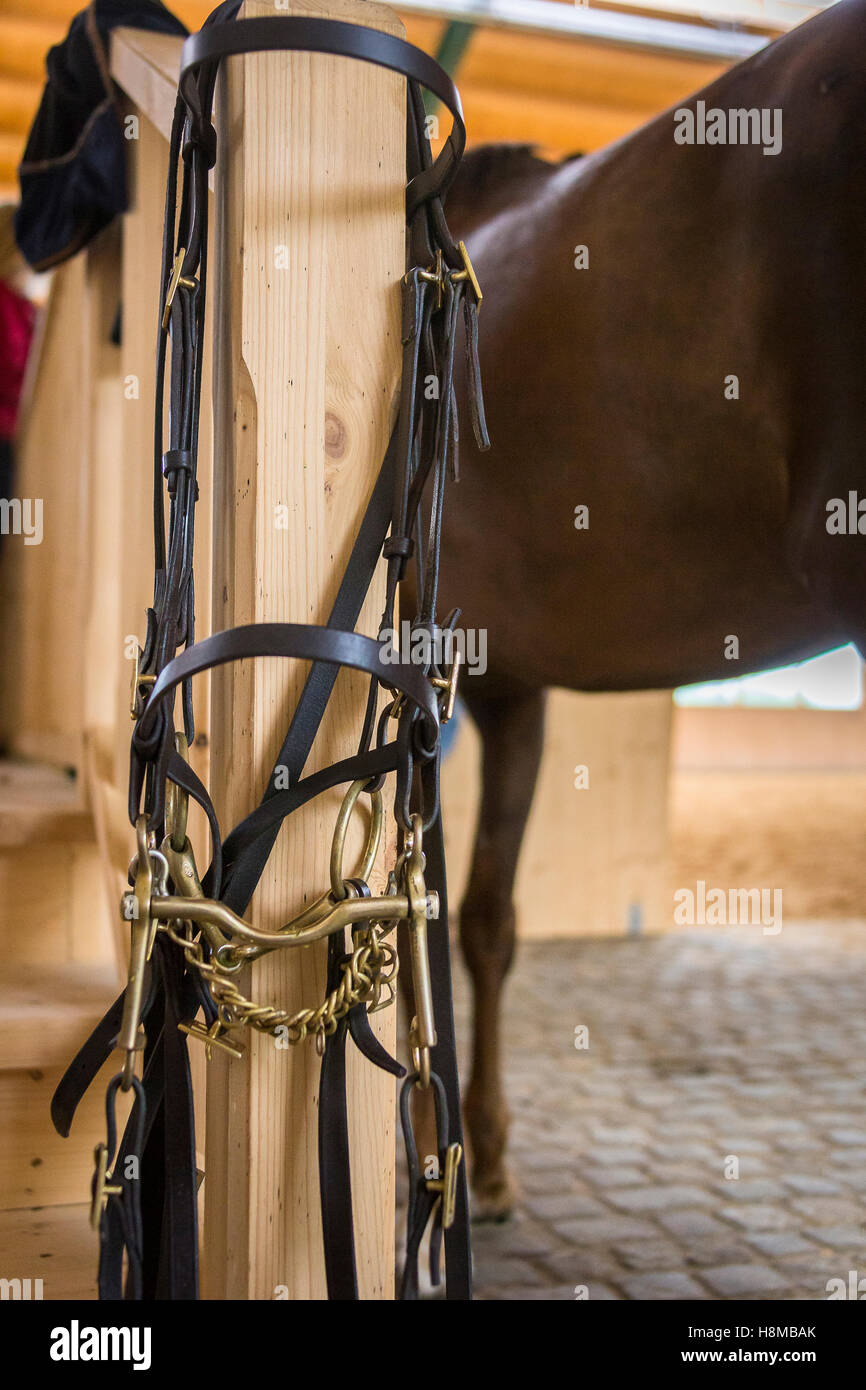 Curb bit hi-res stock photography and images - Alamy