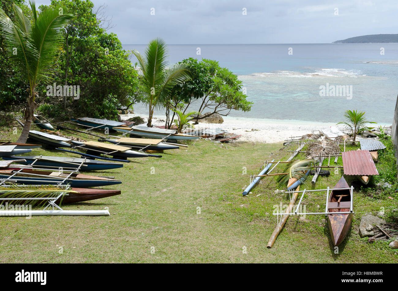 Canoes Of Oceania at Barry Atchison blog
