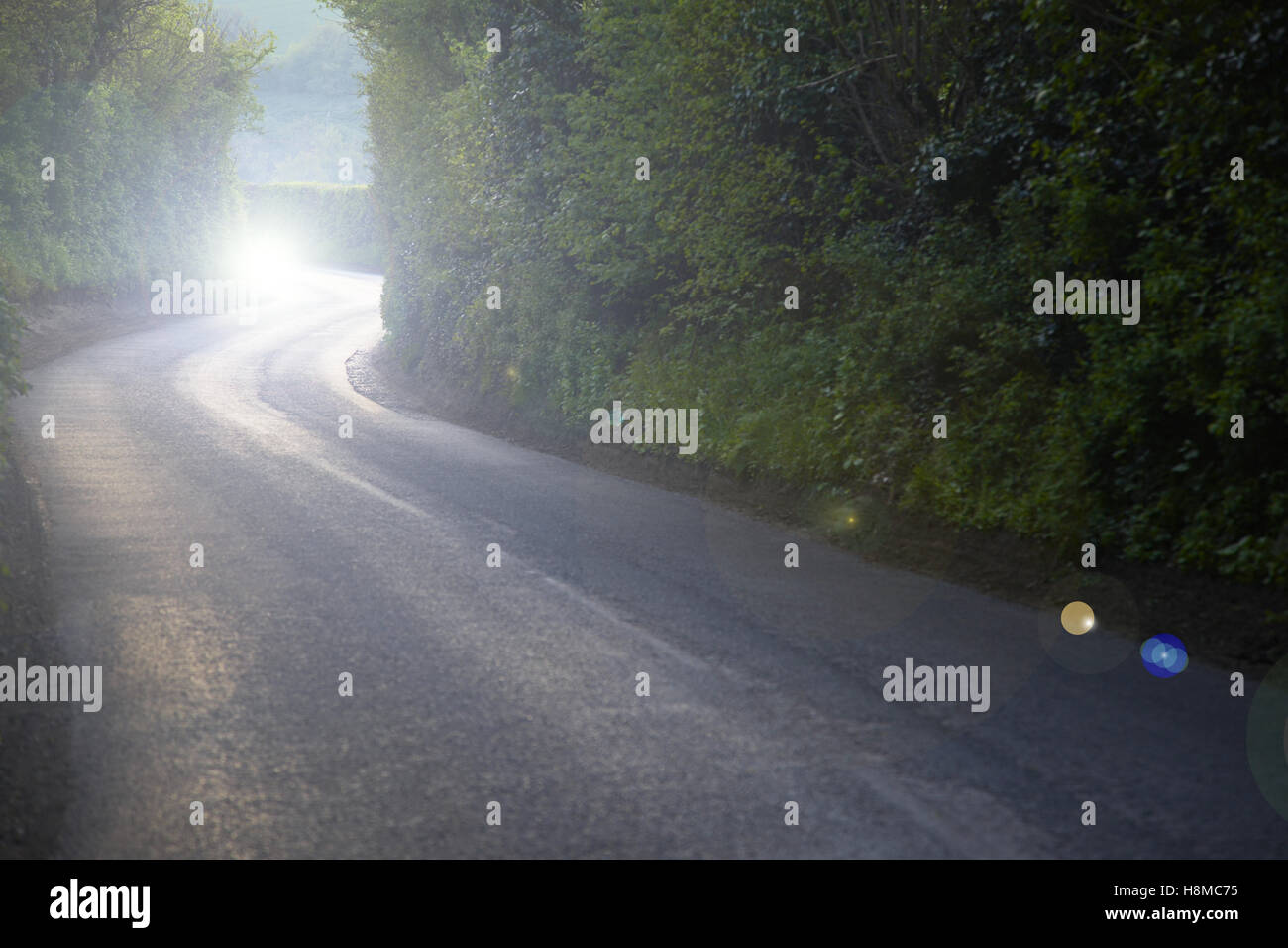 Curving Country Road Through Thick Forest Stock Photo - Alamy