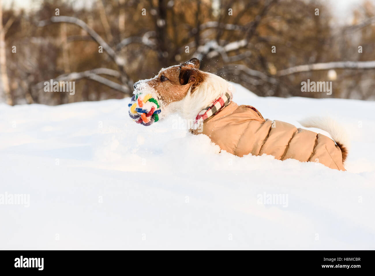 Deep running hi-res stock photography and images - Alamy