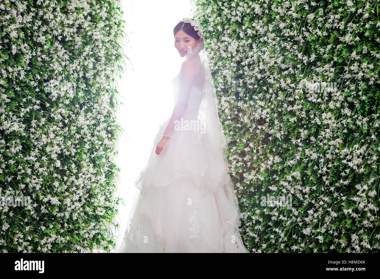 Amidst decorations hi-res stock photography and images - Alamy