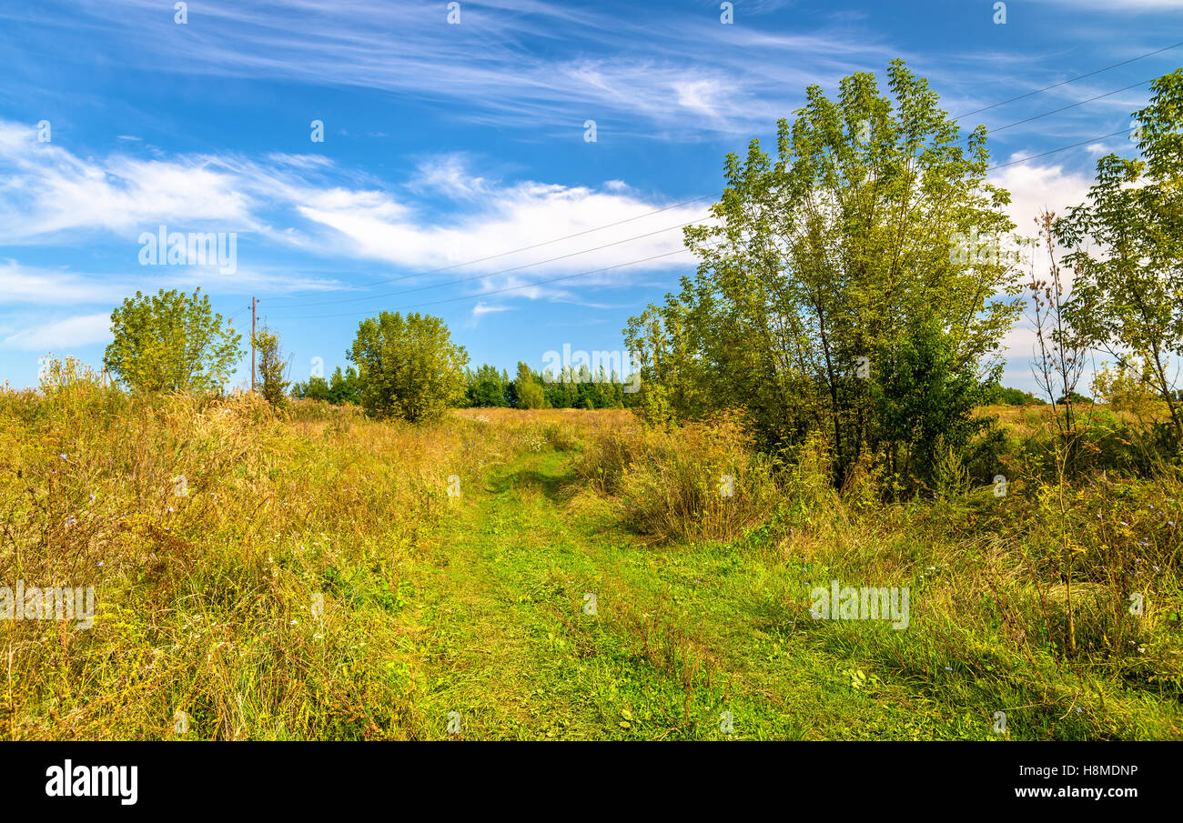 Typical rural landscape of Kursk region, Russia Stock Photo - Alamy