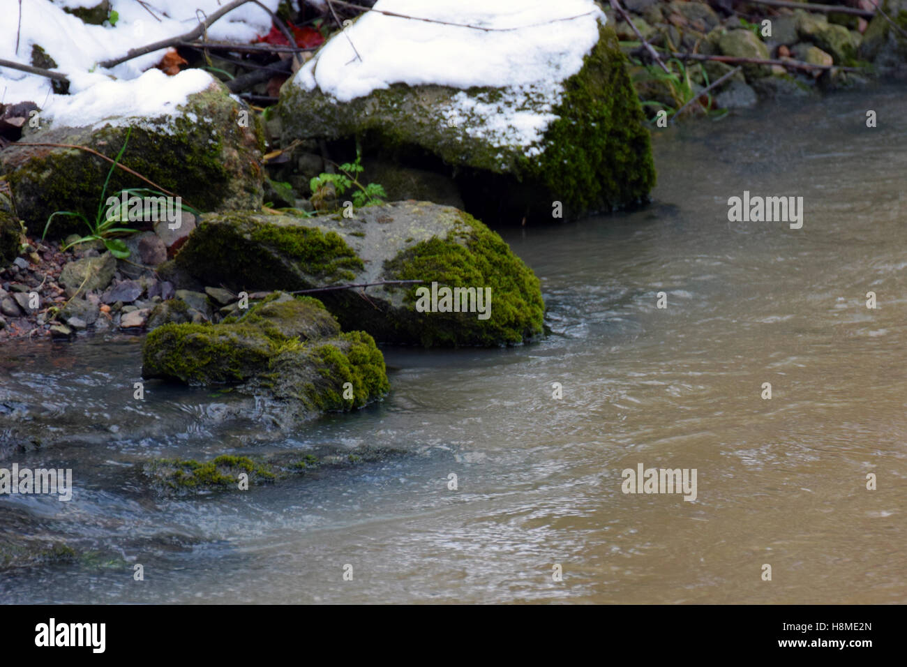 Moss covered river rocks hi-res stock photography and images - Alamy