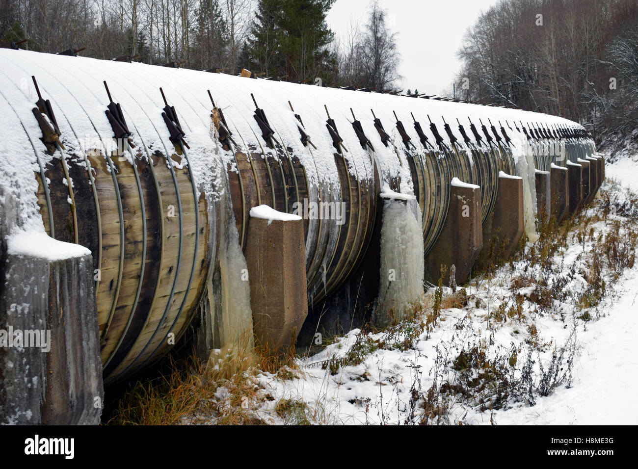 Old wooden water pipe with many leaks in winter. Ice formed from trough ...