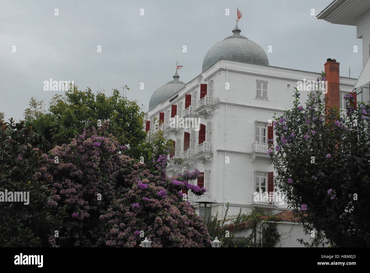 Palas hi-res stock photography and images - Alamy