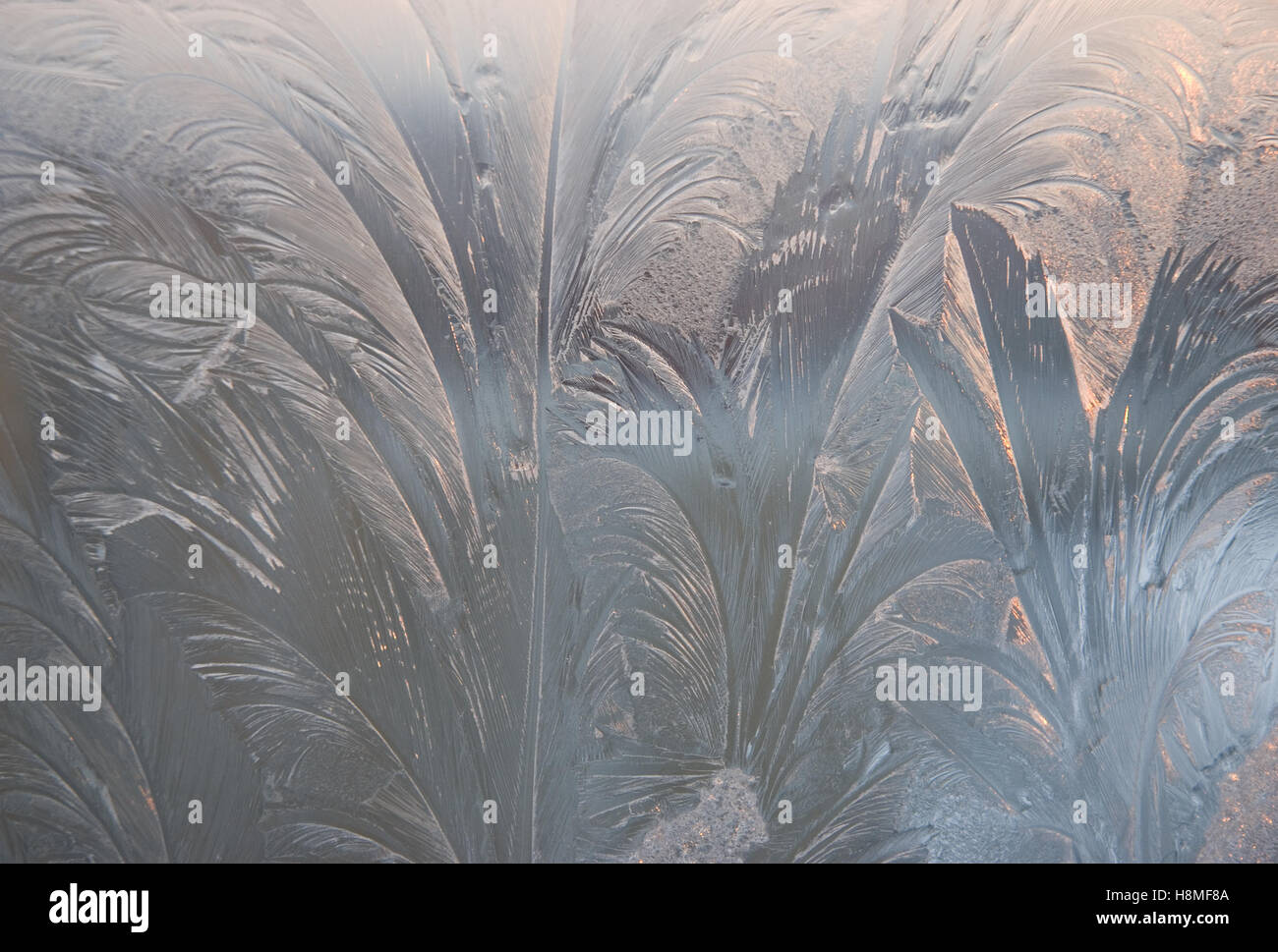 Frost patterns on the window Stock Photo - Alamy