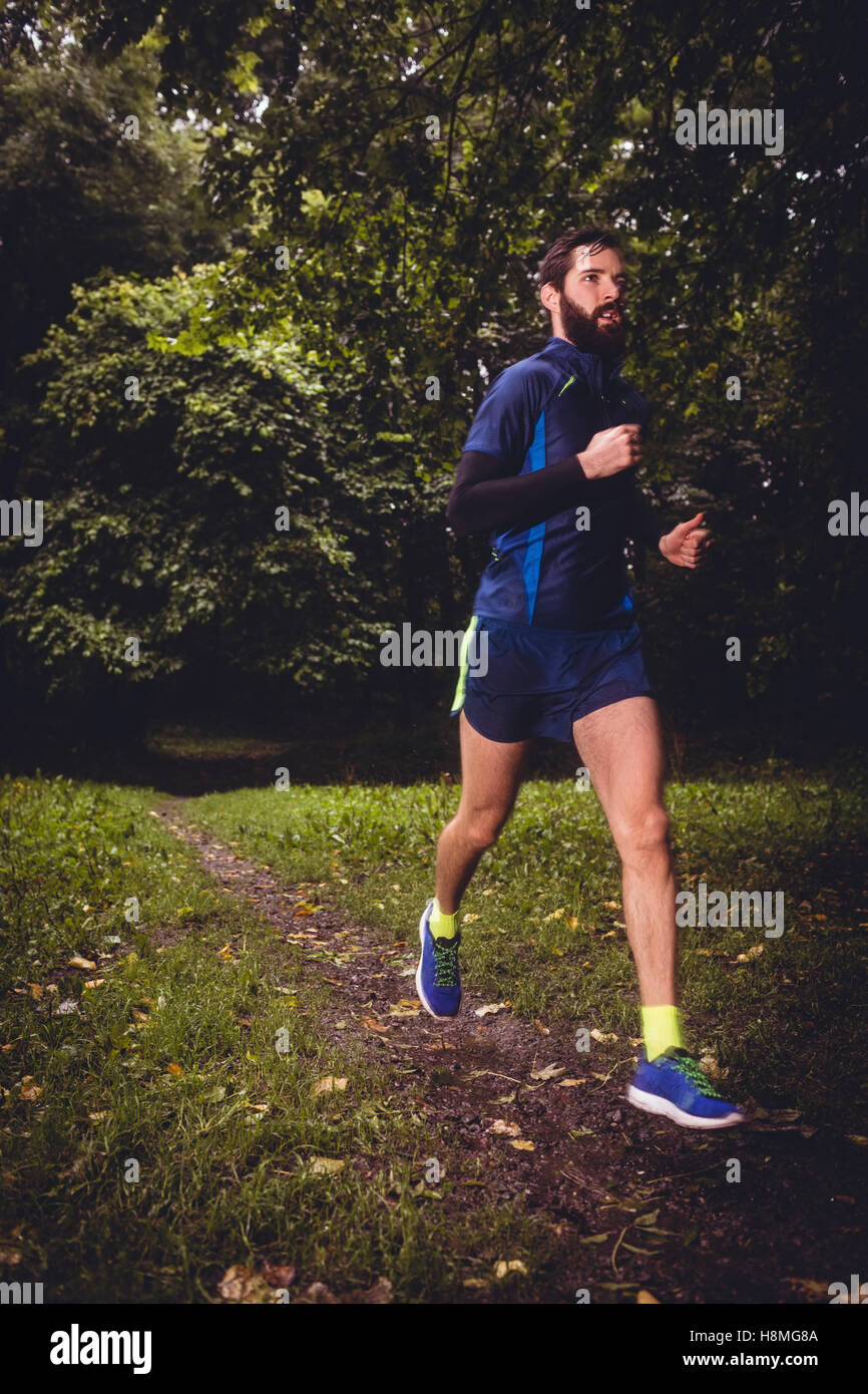 Athlete running in forest Stock Photo - Alamy