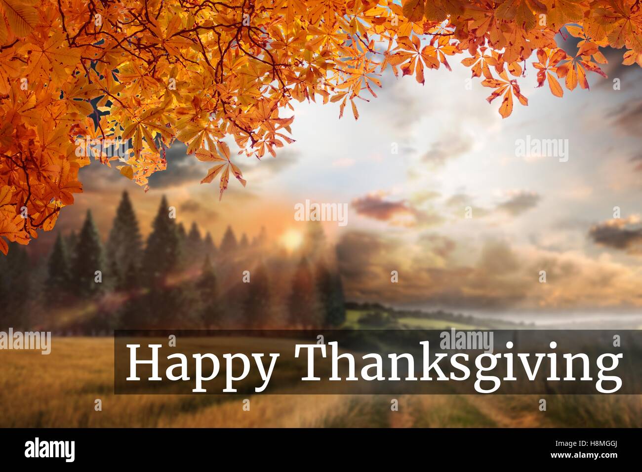 Thanksgiving Message on Autumn Background Design Stock Photo - Alamy