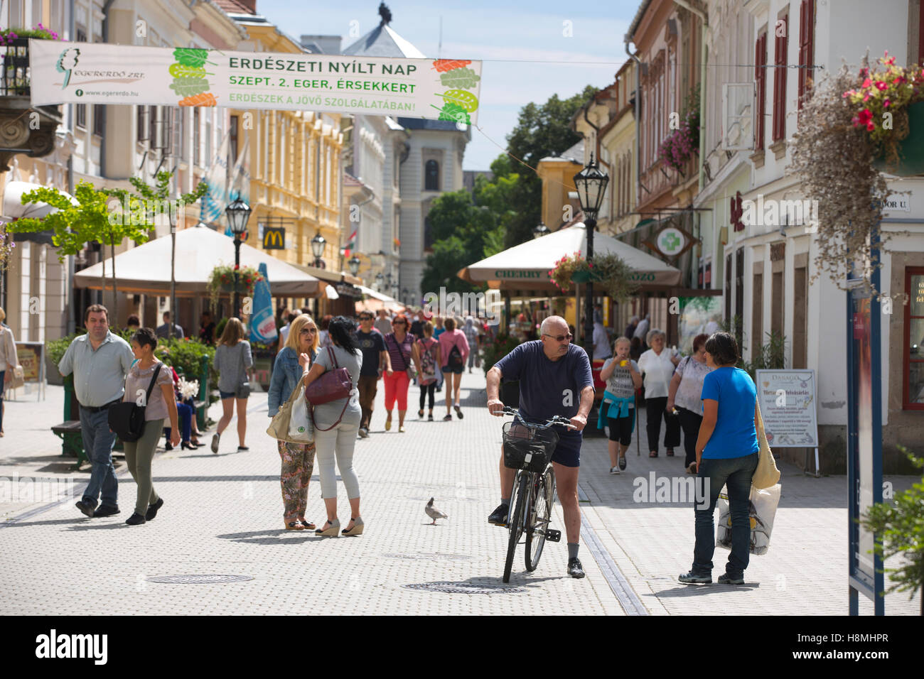 Eger, Old Town, Eger is situated in the county of Heves, is the second ...