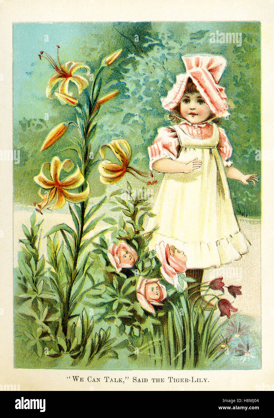 This is a scene from what Alice saw once she went through the Looking ...