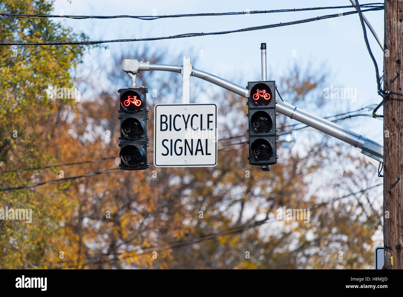 Bicycle Traffic Light Stock Photo - Alamy