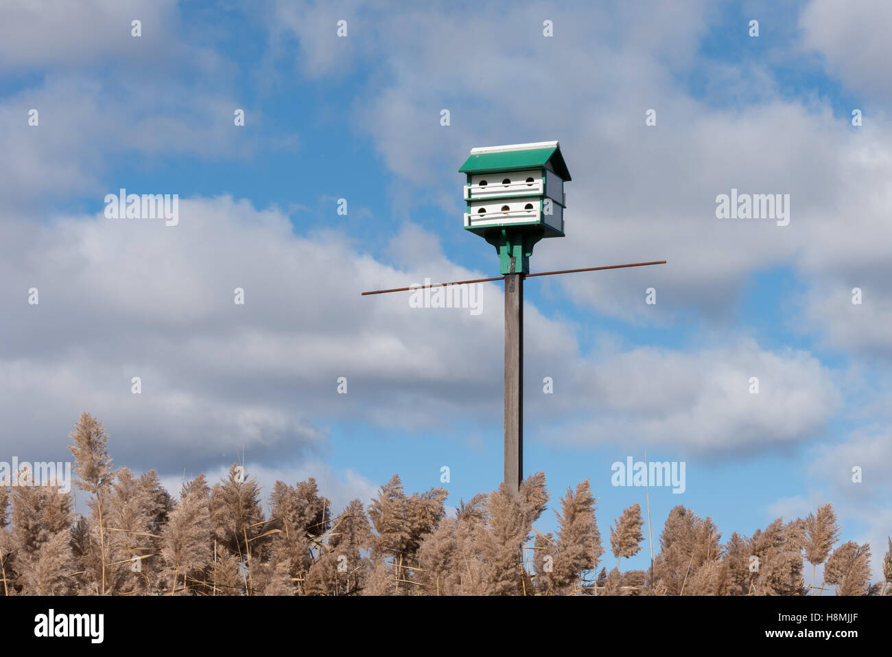 Birdhouse on pole hi-res stock photography and images - Alamy