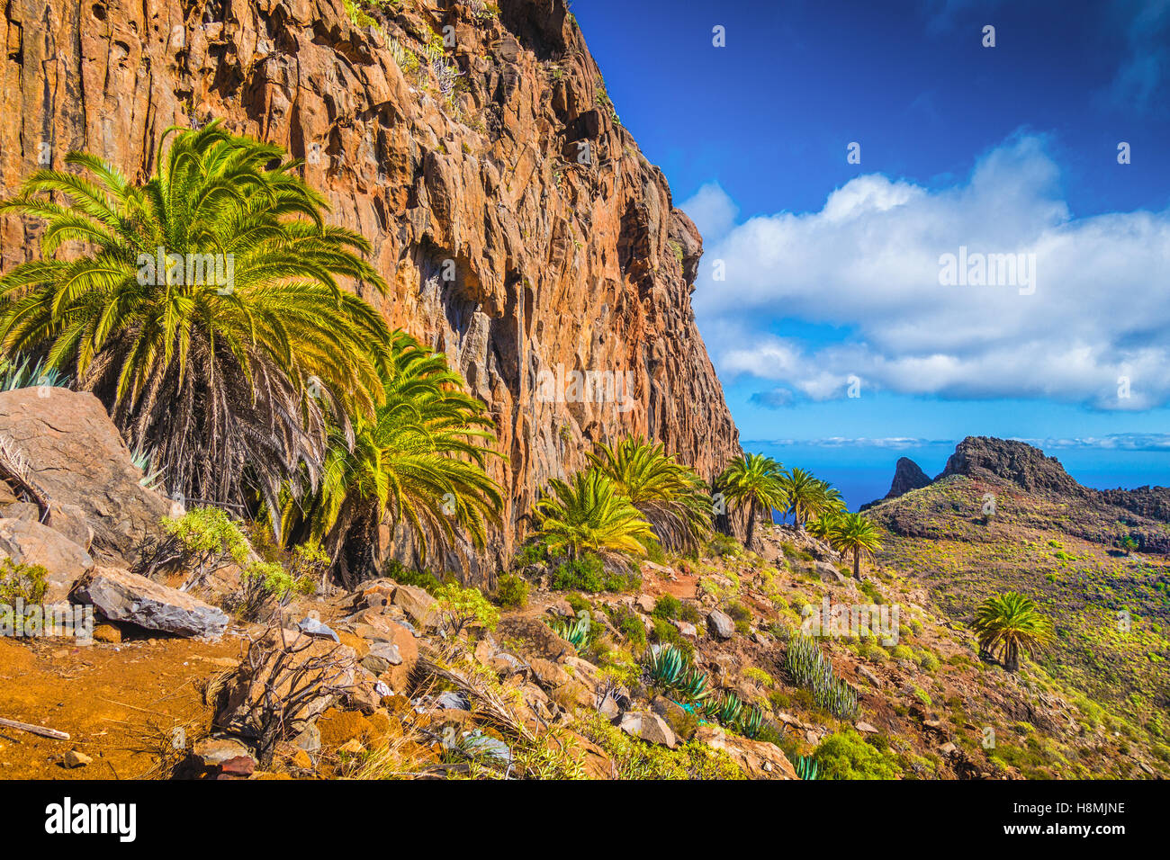 Beautiful view of remote hiking trail running through scenic tropical ...