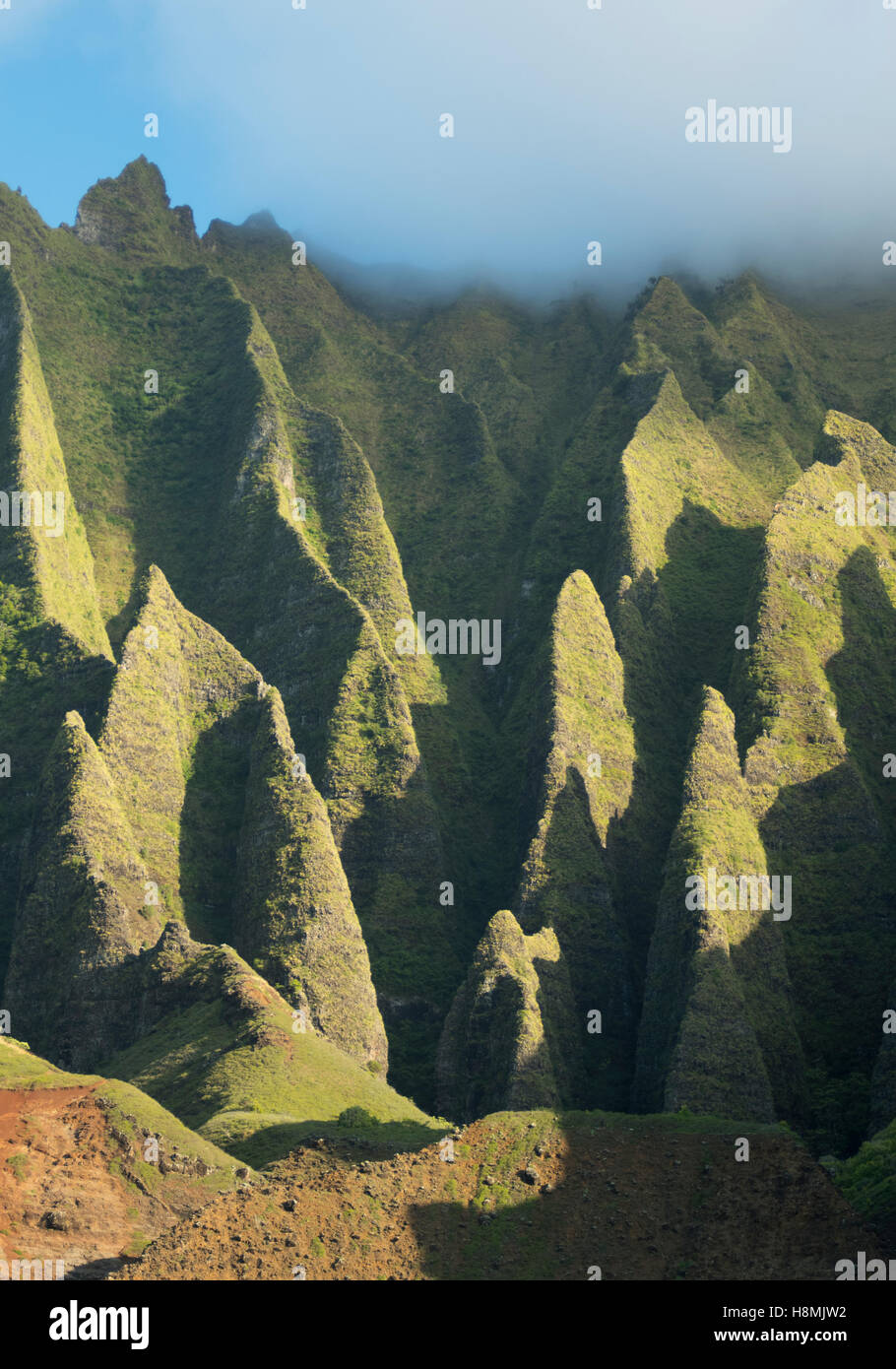 Fluted cliffs, Kalalau Valley, Na Pali Coast, Kaua'i, Hawaii Stock ...