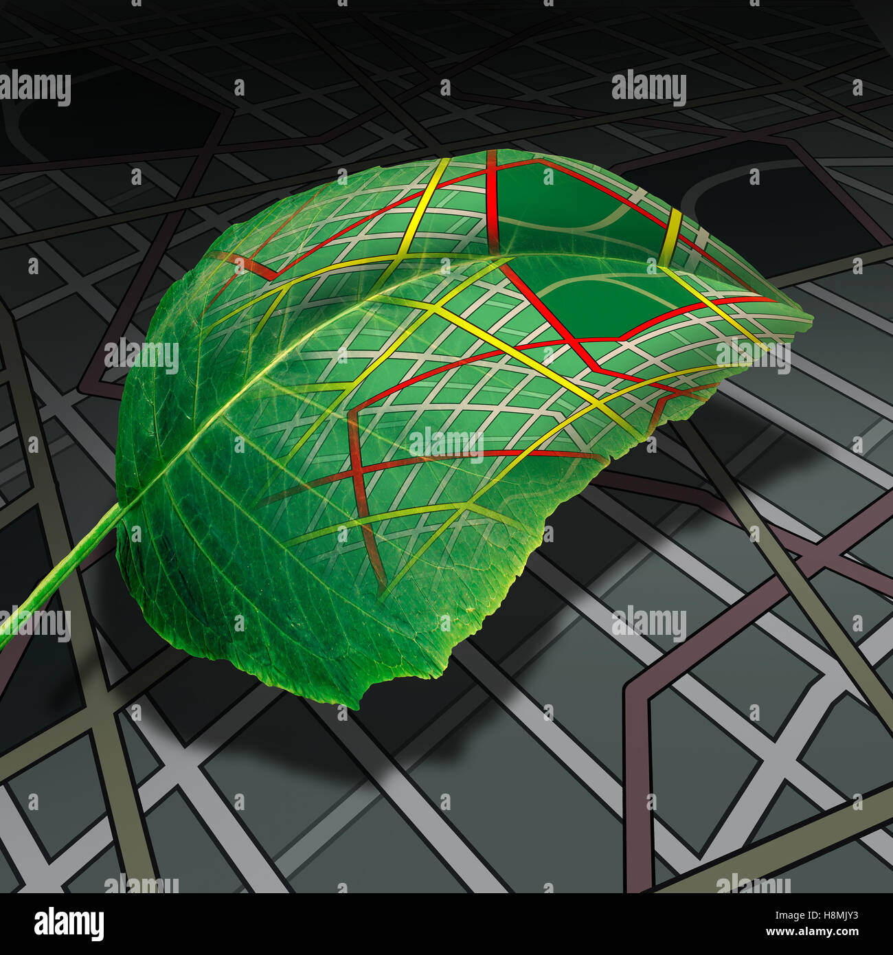 Ecology transportation and green energy transport and driving as a leaf ...