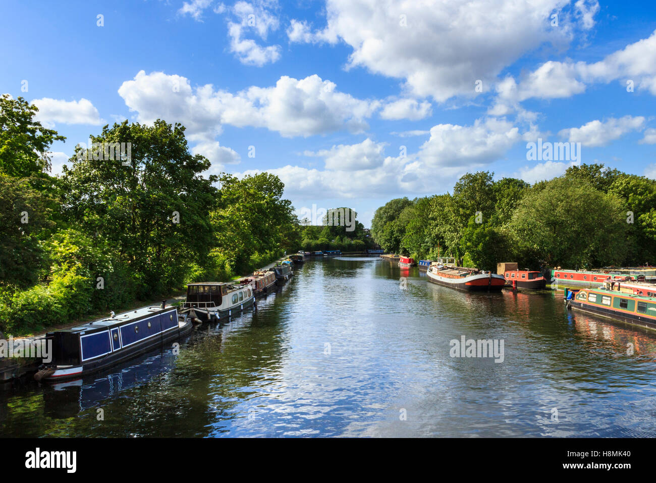 View upriver from Horse Shoe on the River Lea, Upper Clapton, London ...
