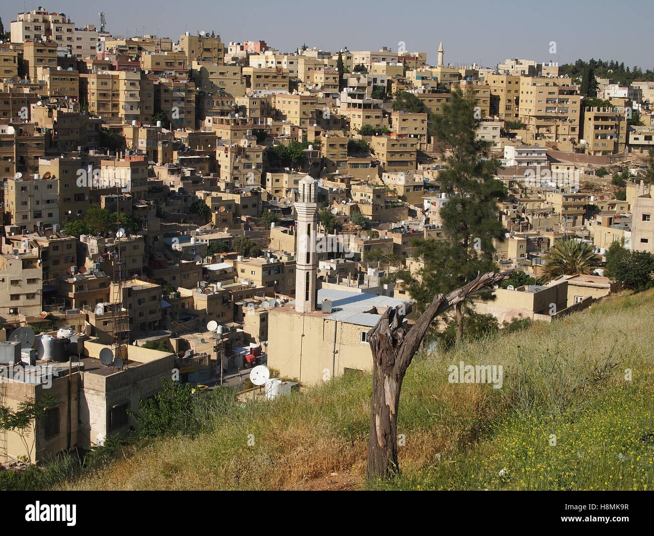 A panoramic view of east Amman from atop the Amman Citadel overlooking ...