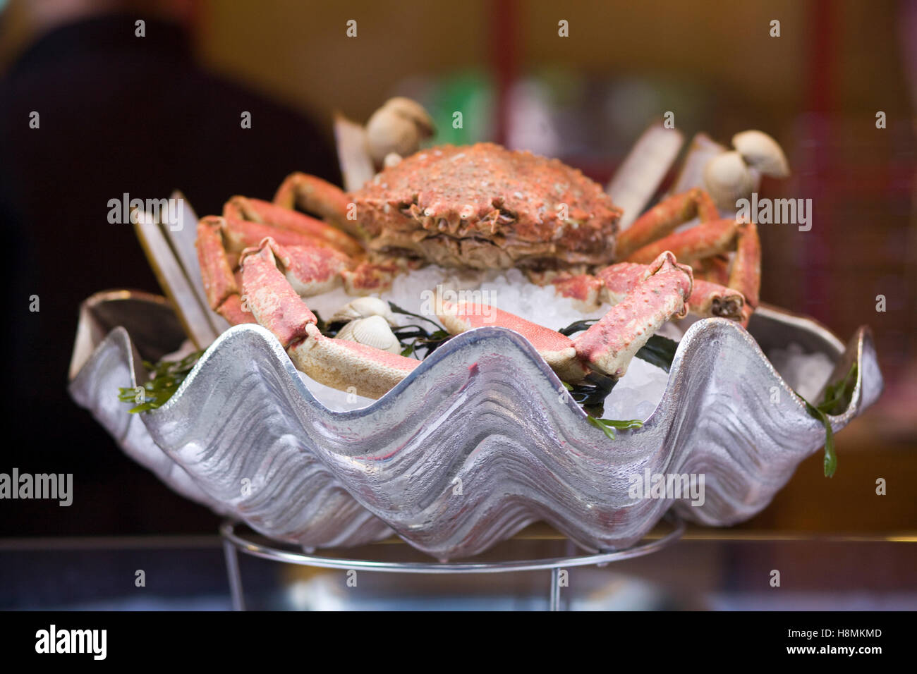 Fresh Raw Shell Fish on ice Stock Photo - Alamy
