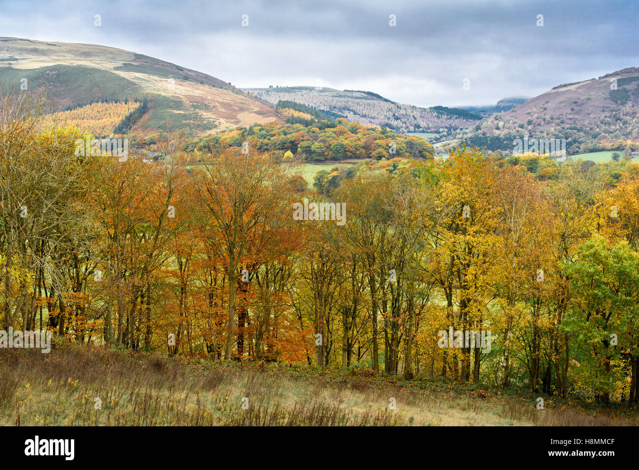 Welsh countryside in autumn Stock Photo - Alamy