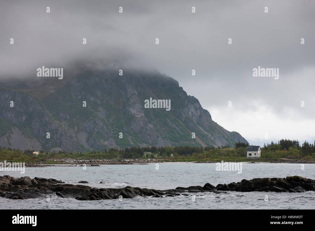 A small house stands alone beside a fjord inlet. Lofoten Islands ...