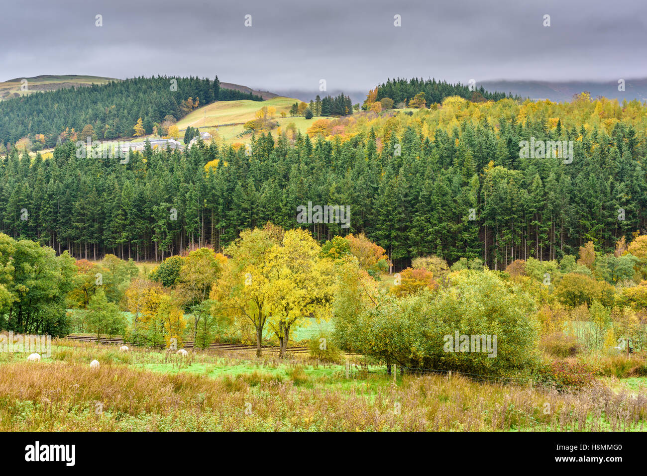 Welsh countryside in autumn at Glyndyfrdwy Stock Photo - Alamy