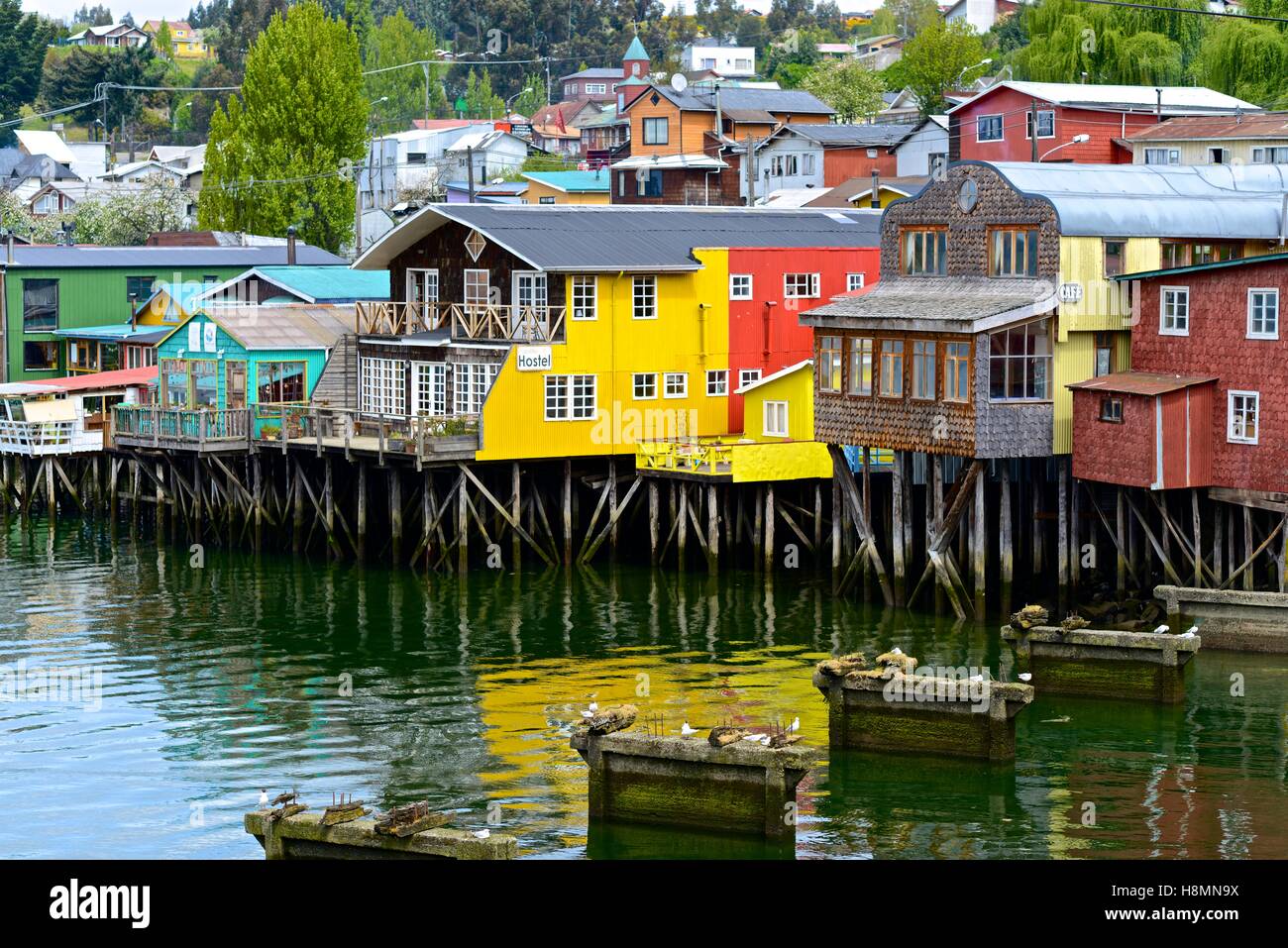 The colorful houses on the water, known as palafitos, in the town of ...