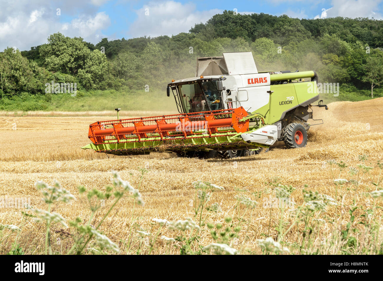 A Claas 750 Lexion Combine Harvester working the fields in Kent Stock ...