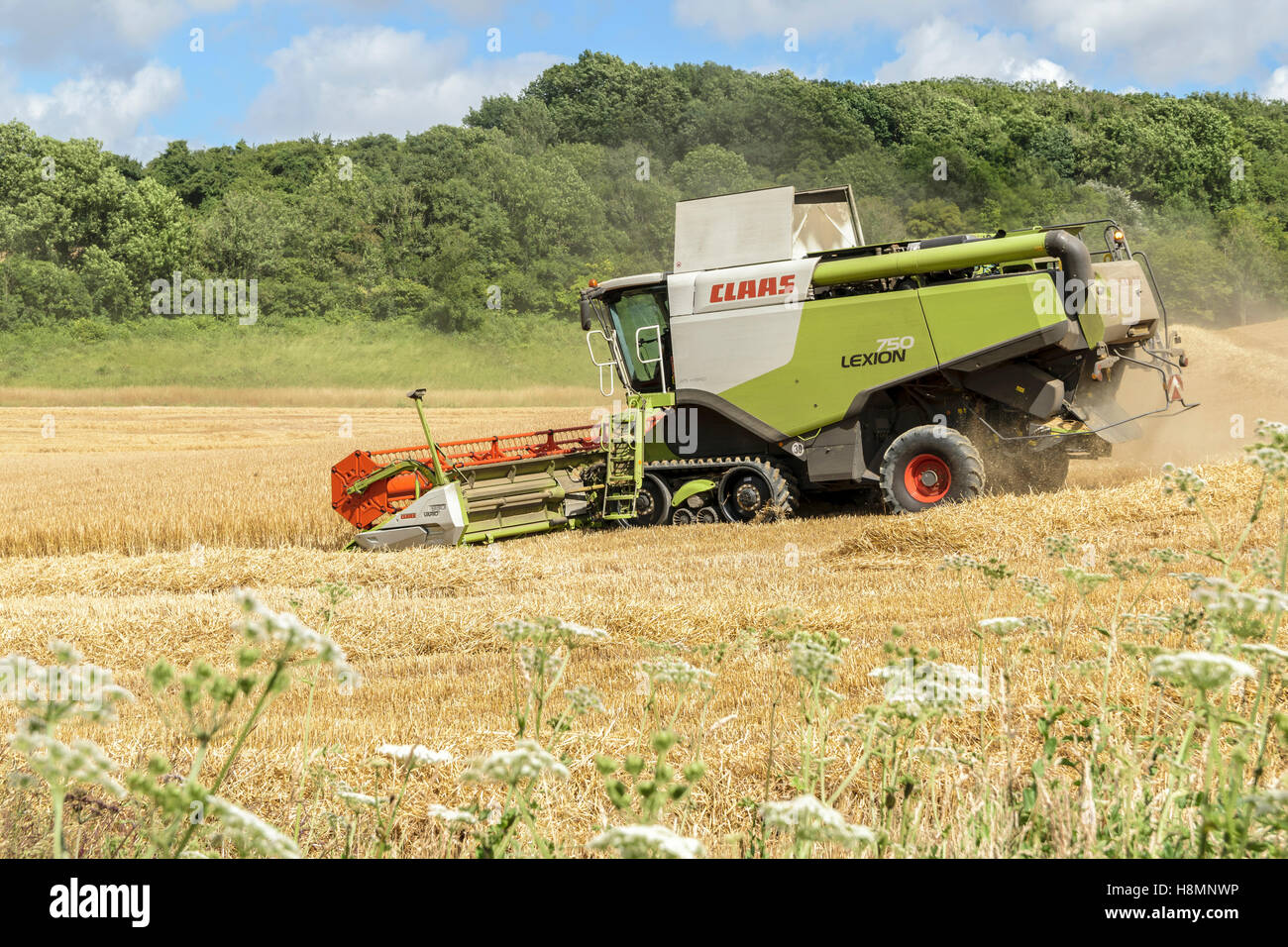 A Claas 750 Lexion Combine Harvester working the fields in Kent Stock ...