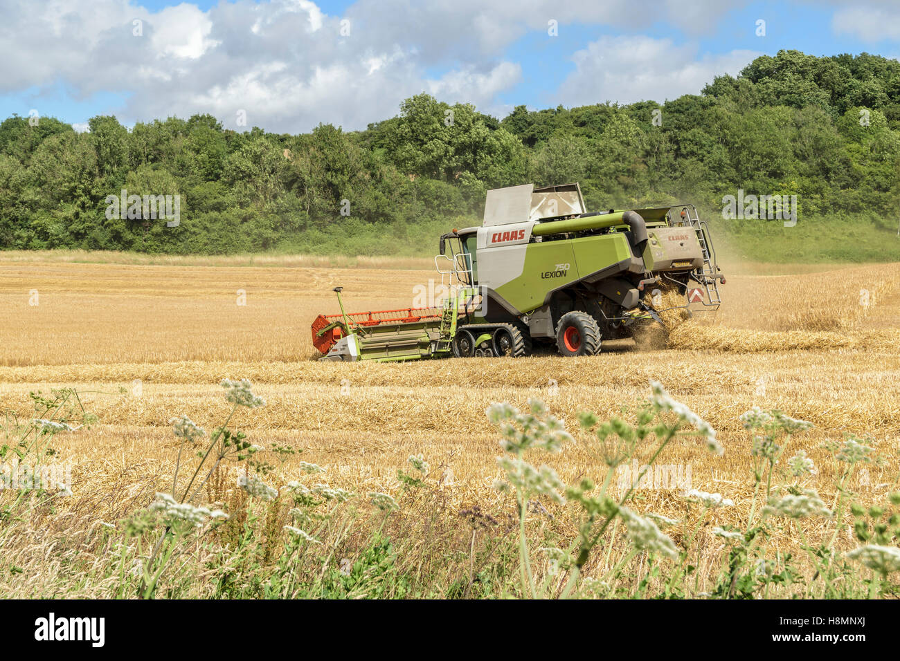A Claas 750 Lexion Combine Harvester working the fields in Kent Stock ...