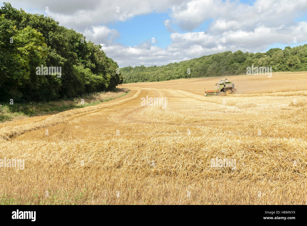 A Claas 750 Lexion Combine Harvester working the fields in Kent Stock ...