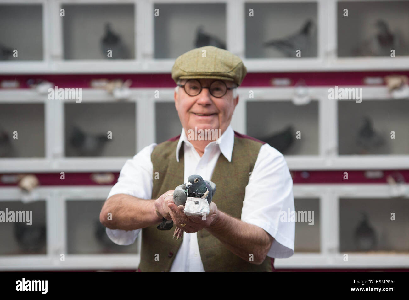 EDITORIAL USE ONLY David Ling from Barking prepares his carrier pigeons ...