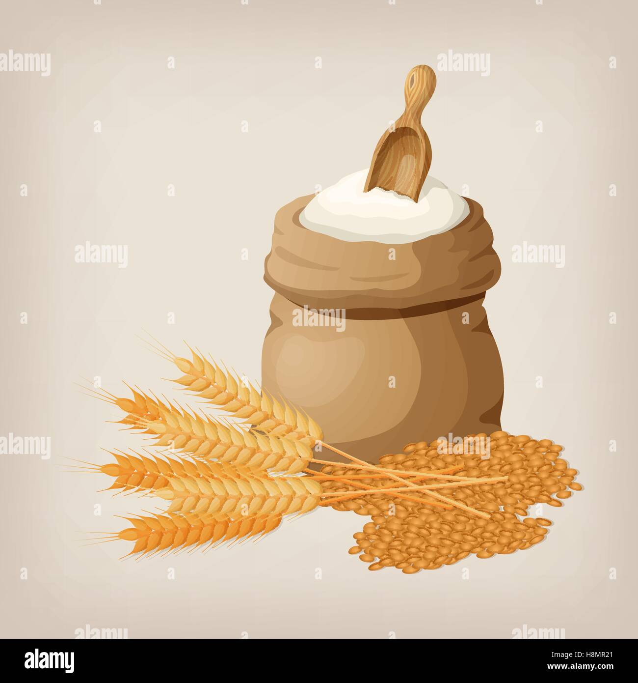Corn meal corn flour Stock Vector Images - Alamy