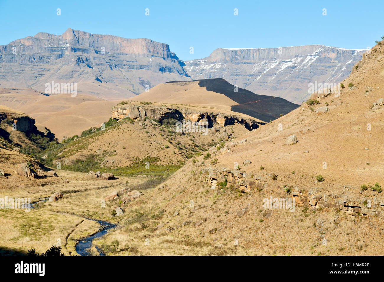 blur in south africa valley of desolation dirty road rock tree and sky ...
