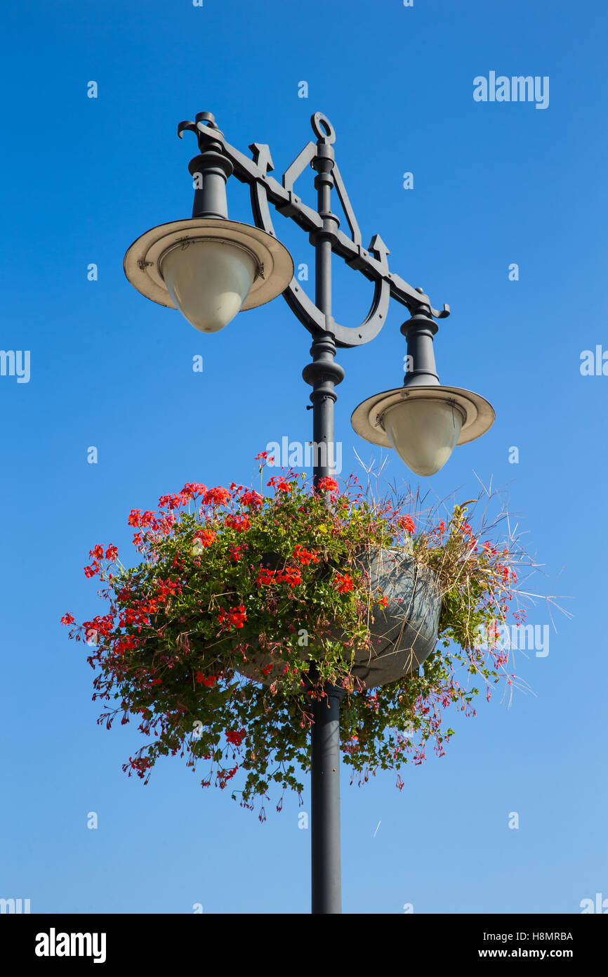 Lamp post hanging flower basket hi-res stock photography and images - Alamy