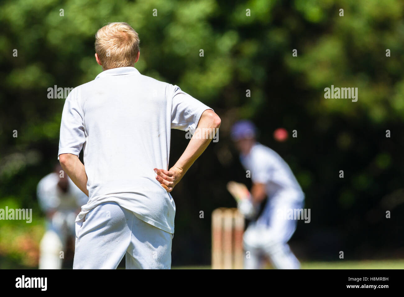 Cricket watching ball hi-res stock photography and images - Alamy